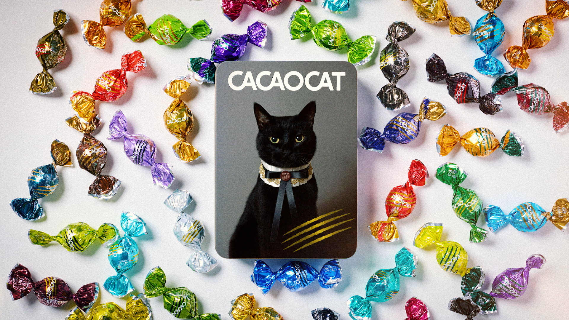 CACAOCAT 15秒CM | CS.2 inc.