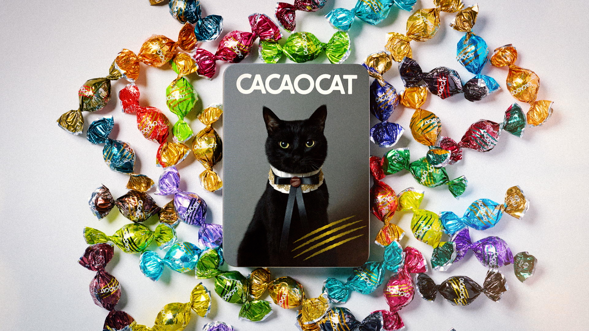 CACAOCAT 15秒CM | CS.2 inc.